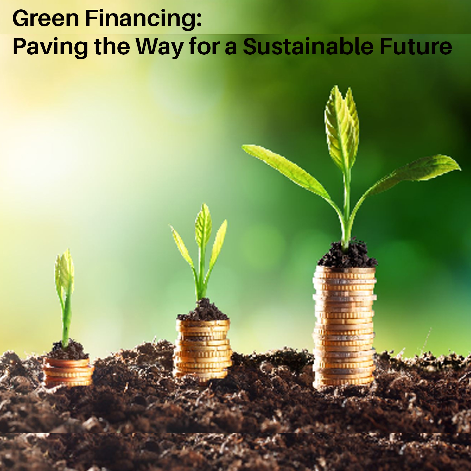 Green Financing: Paving the Way for a Sustainable Future - McD BERL